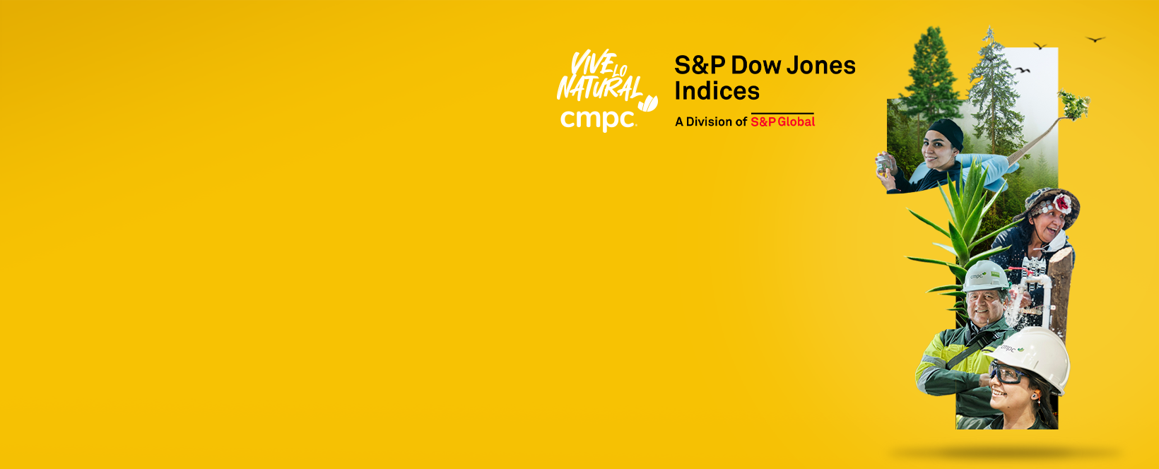 Dow Jones Sustainability Index: CMPC Leads the World Ranking in Forest Sustainability - CMPCFP